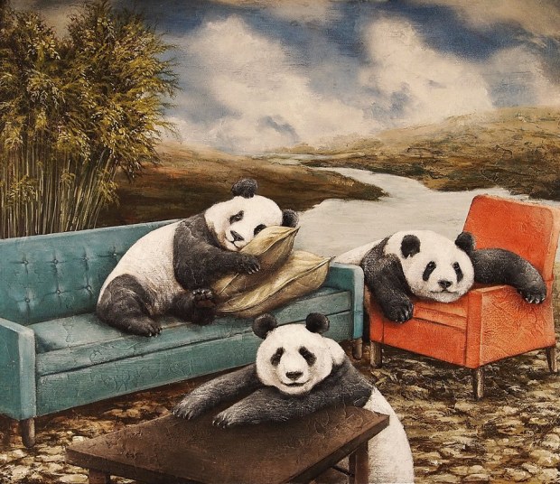 Panda Slacking | Tyson Grumm